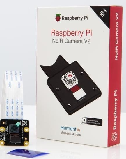 Raspberry Camera Module NoIR V2